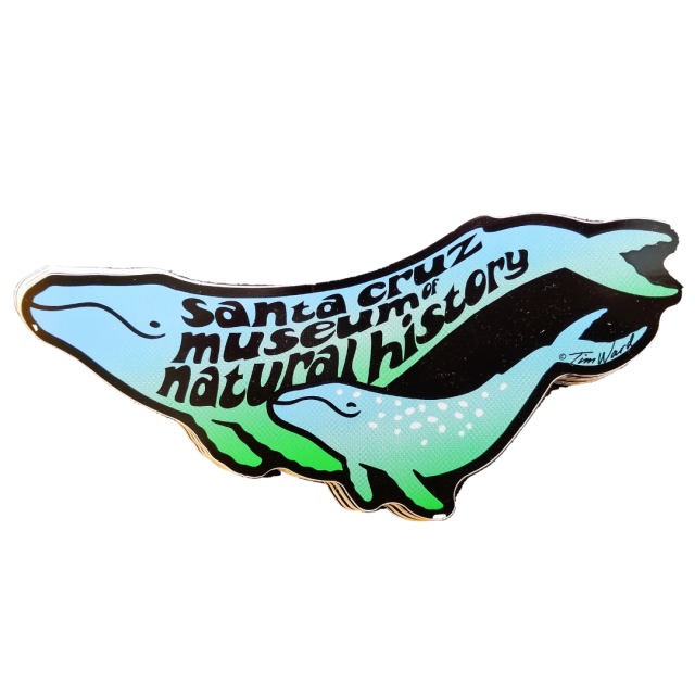 Souvenirs | Santa Cruz Museum Online Store