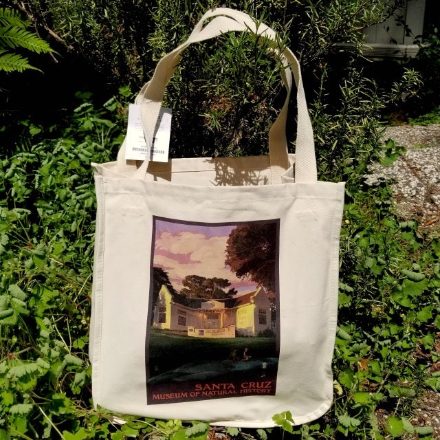 Souvenirs | Santa Cruz Museum Online Store